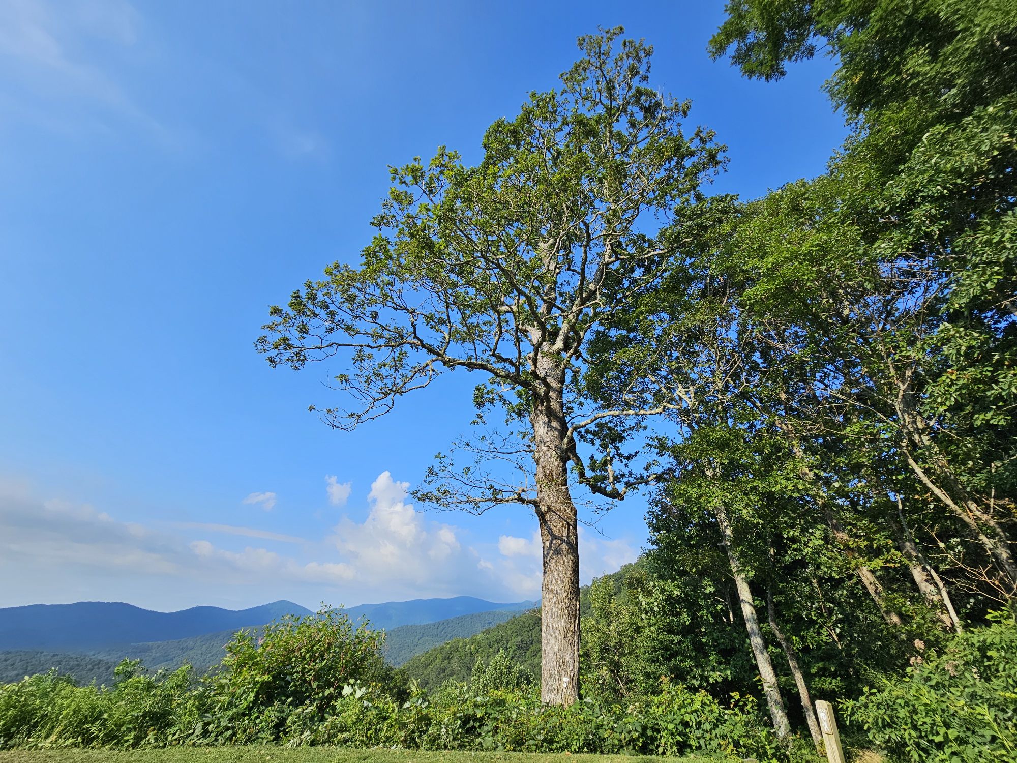 Seeing from a distance to the distances… – Miracles Respectfully ...